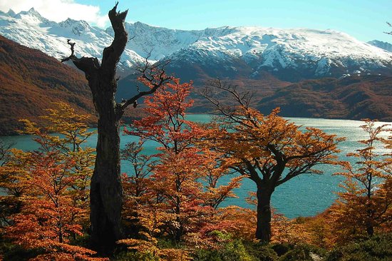 Uaken Cabañas, El Calafate - Full sheet (updated)