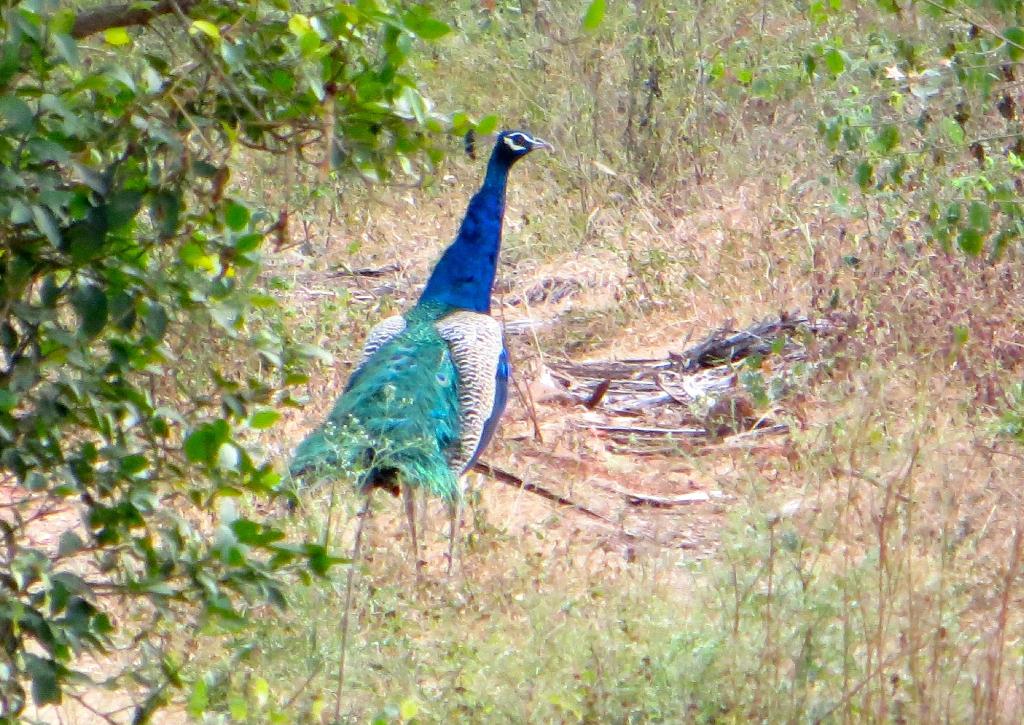 123 Reserve | Find and Book the Best Hotels