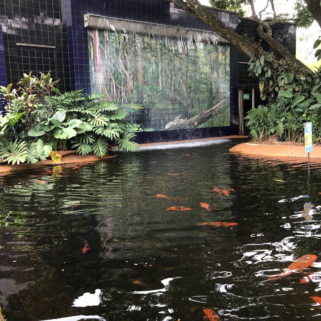 NH Boulevard del Río Cali, Cali - Détails du séjour