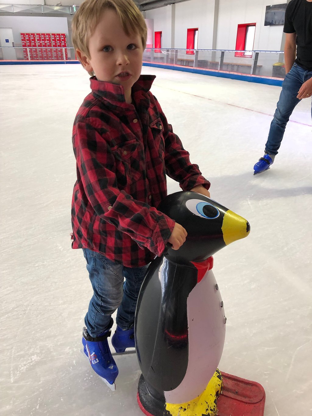 Ice Zoo Ice Rink, Mascot, Australia
