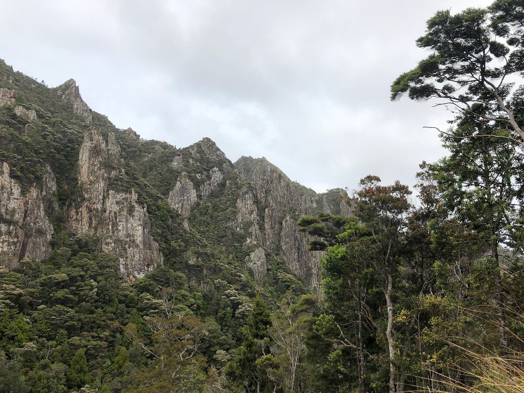 Mt Hobson via Windy Canyon, Great Barrier Island